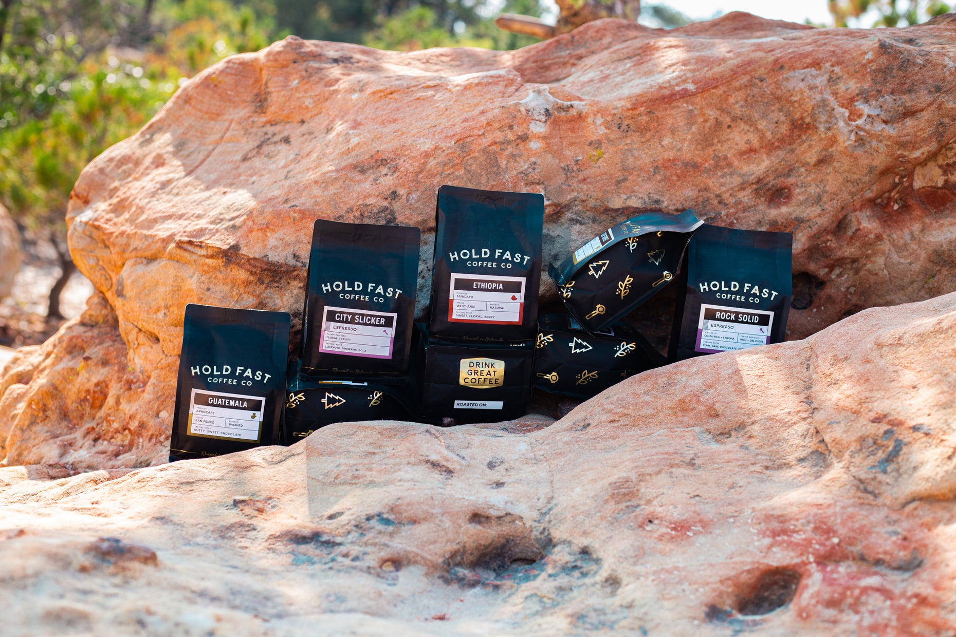 Coffee Shop + Roastery in the heart of Colorado Springs – Hold Fast ...